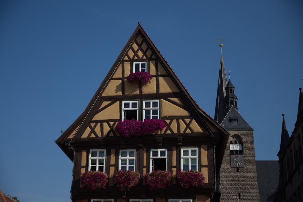 b_-3112 – Alice Wonderland